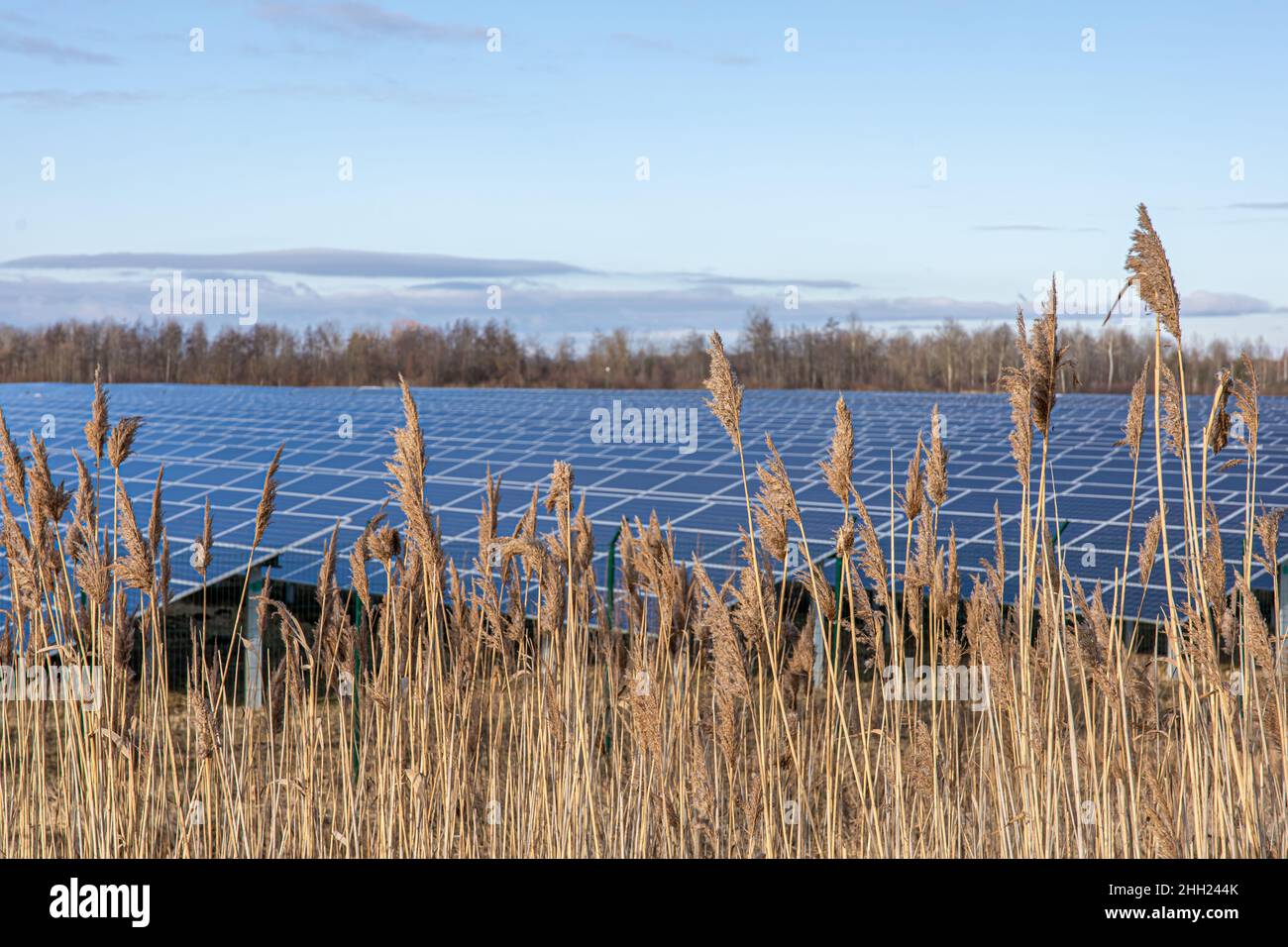 Electric farm with panels for producing clean ecologic energy Stock ...