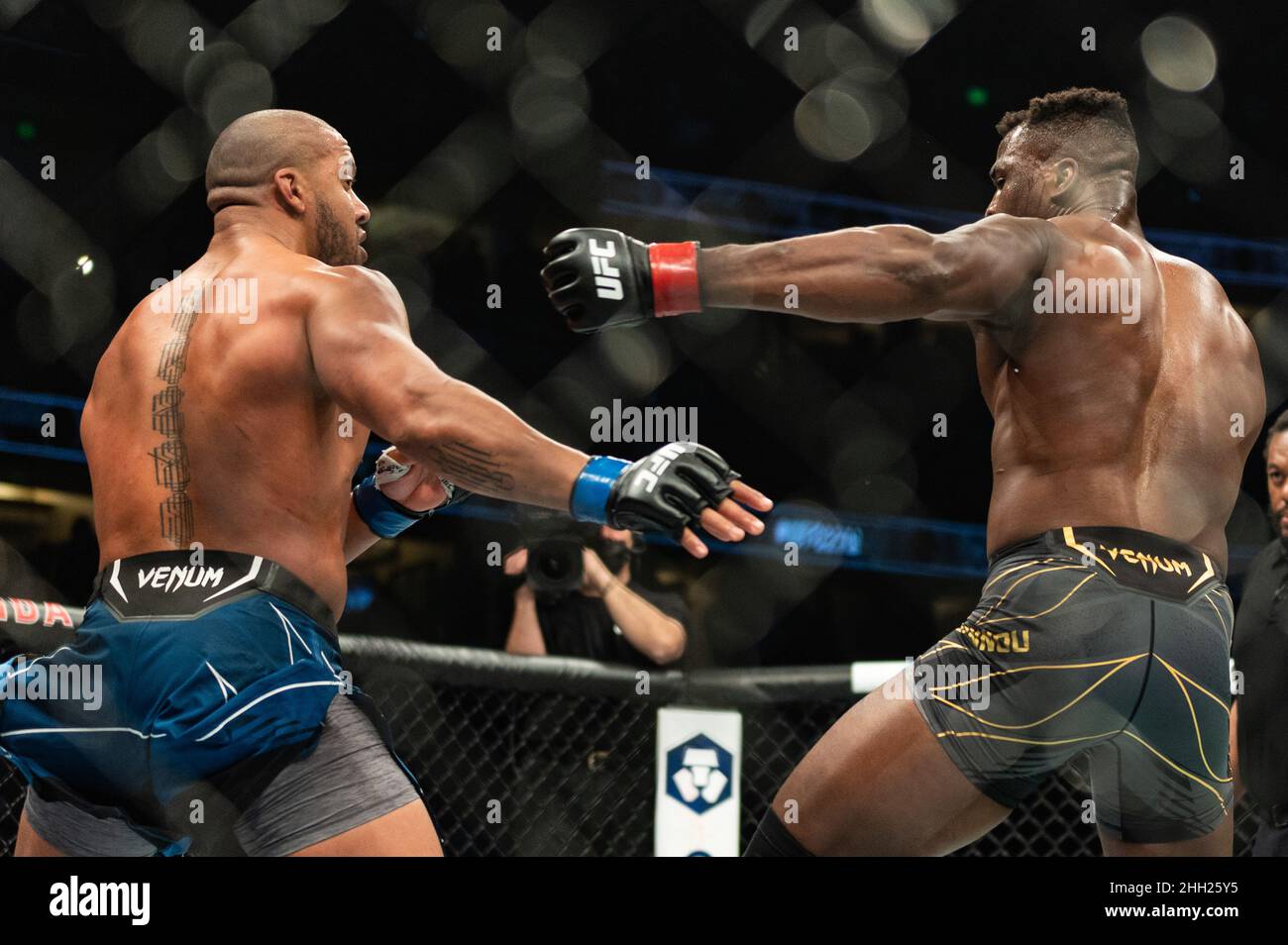 Combat ufc hi-res stock photography and images - Alamy