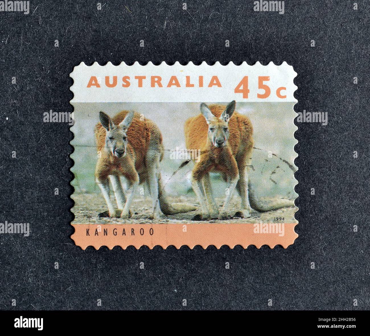Cancelled postage stamp printed by Australia, that shows Kangaroo ...