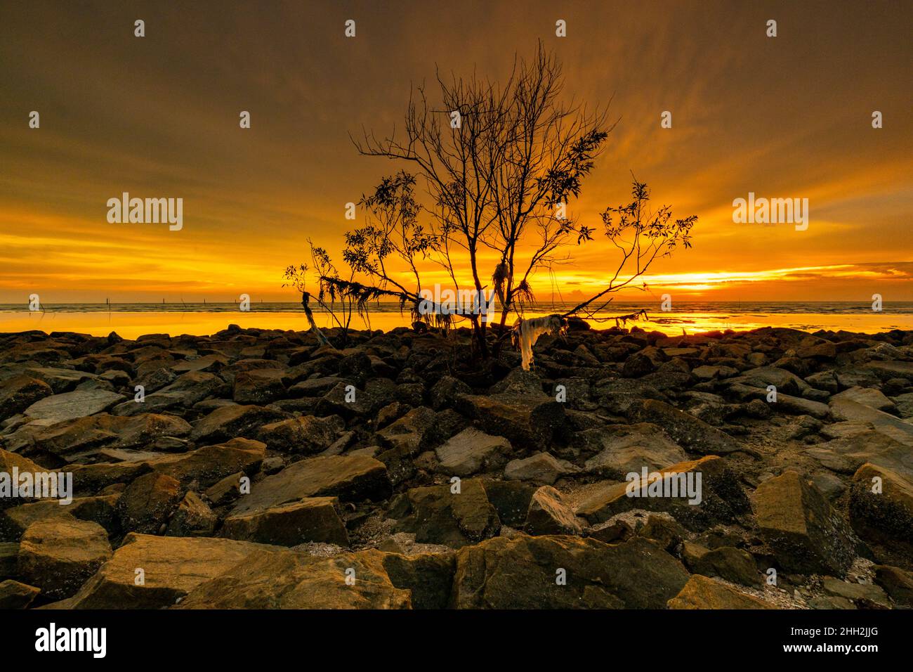 Muddy beach at Kuala Selangor, Selangor, Malaysia Stock Photo - Alamy