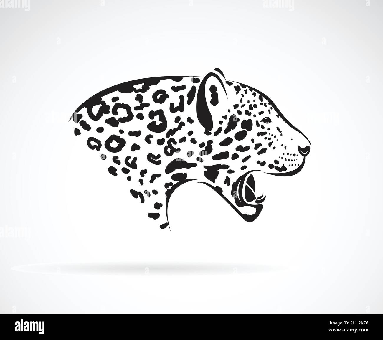 Vector of a leopard on white background. Wild Animals. Easy editable ...