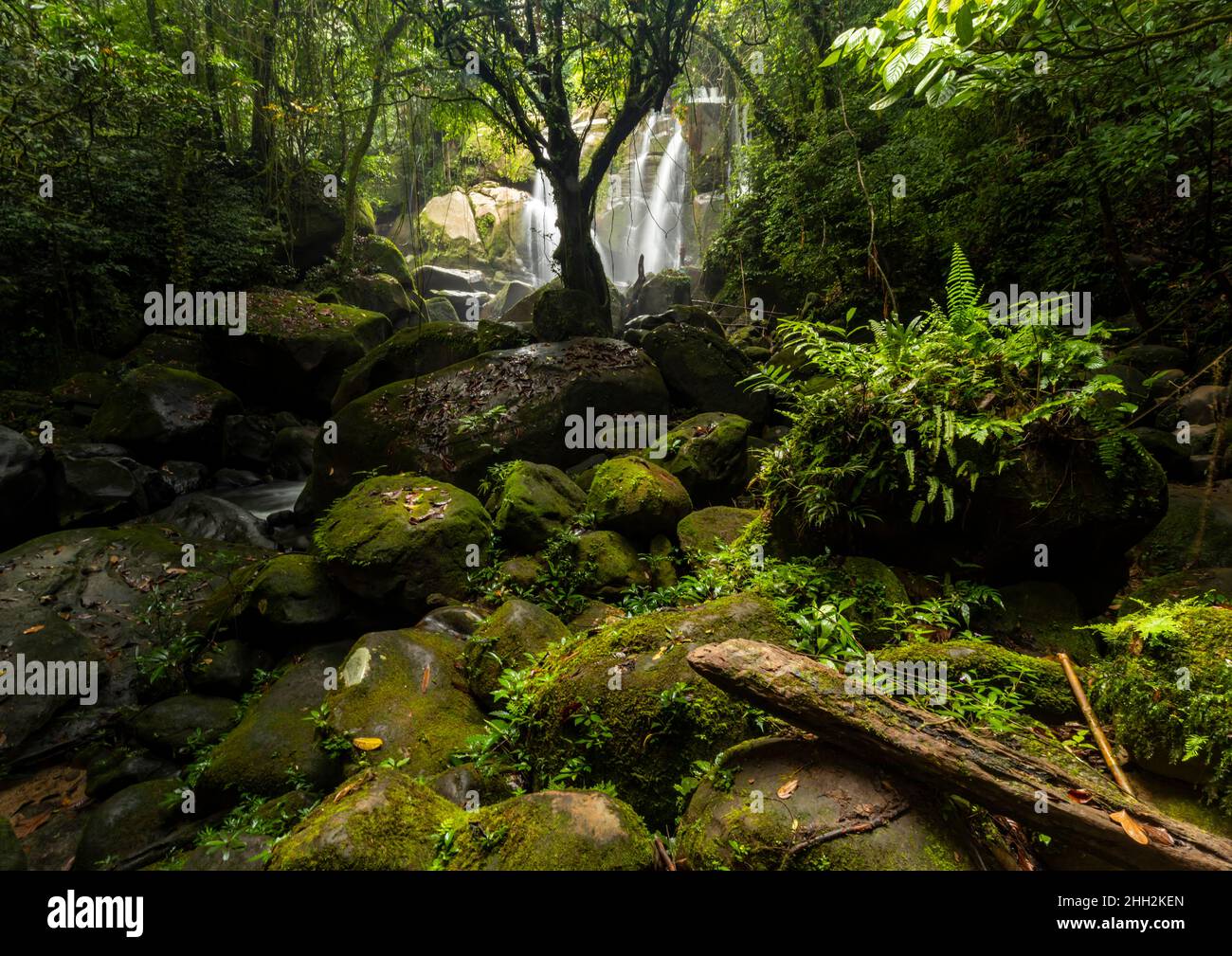 Bengoh Dam, Borneo Highland Tourist Guided Stock Photo - Alamy