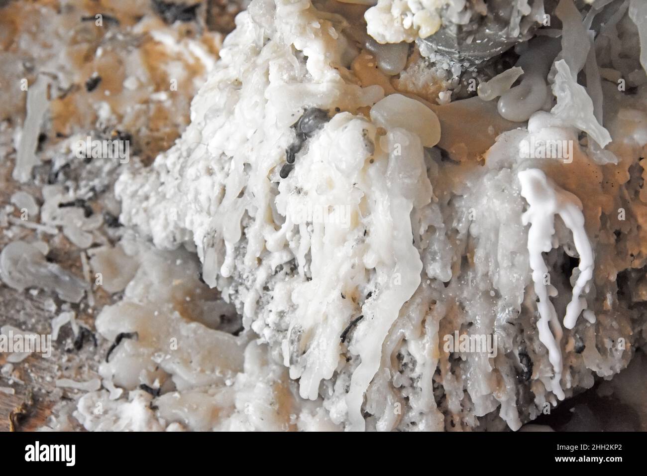 Wax droplet closeup, melted candle drips in shape of solid drops Stock ...
