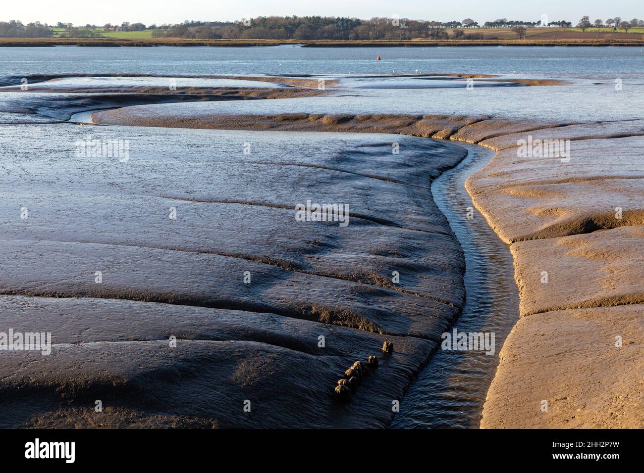 Drainage channels in mudflats at low tide River Deben estuary, Sutton ...