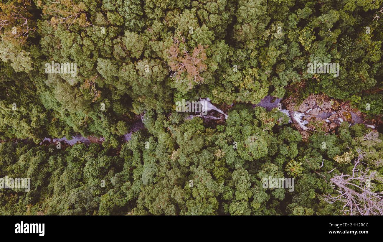 Clover Hill Trail waterfall in Macquarie Pass National Park Stock Photo ...