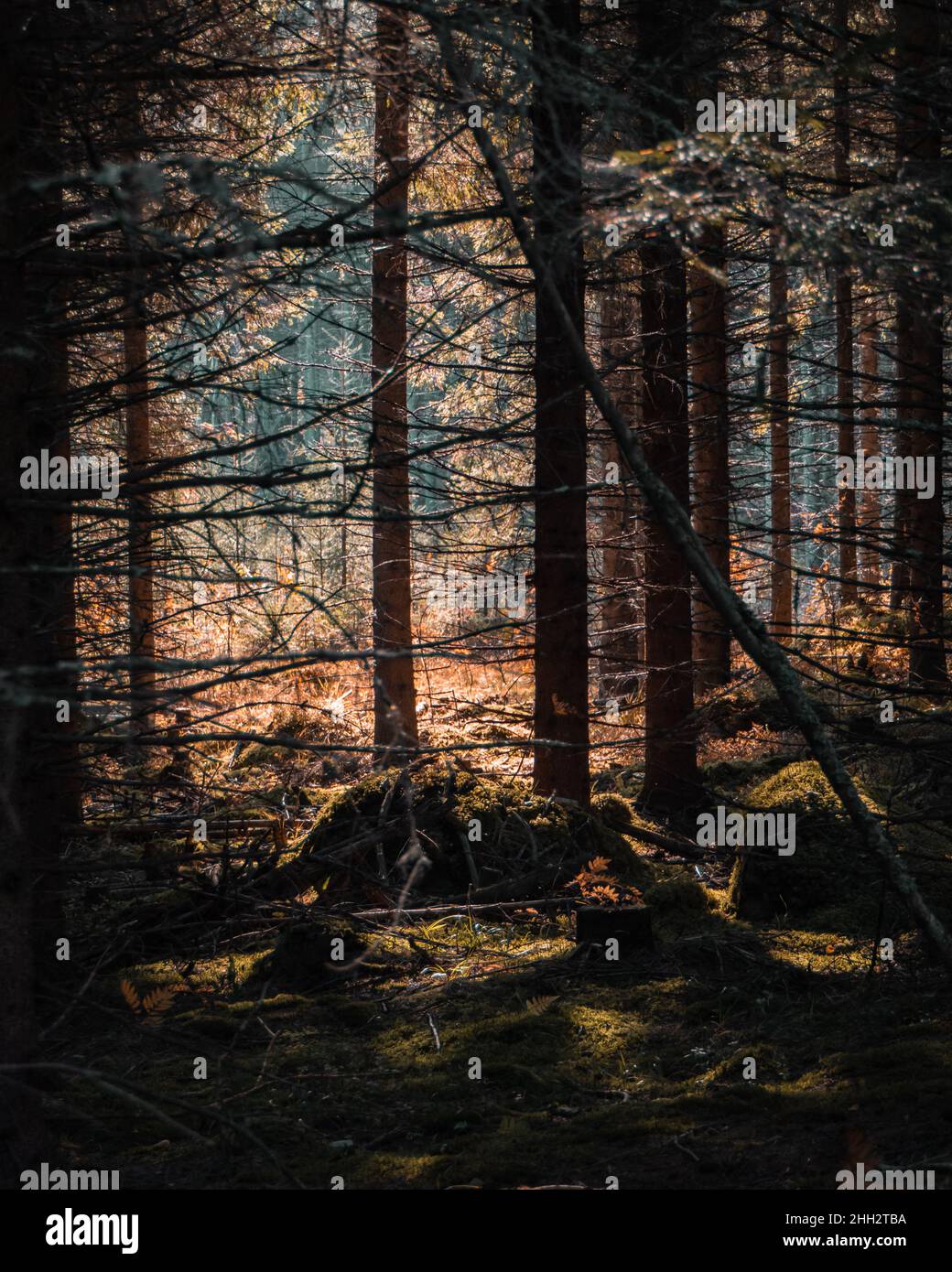 Dark environment hi-res stock photography and images - Alamy