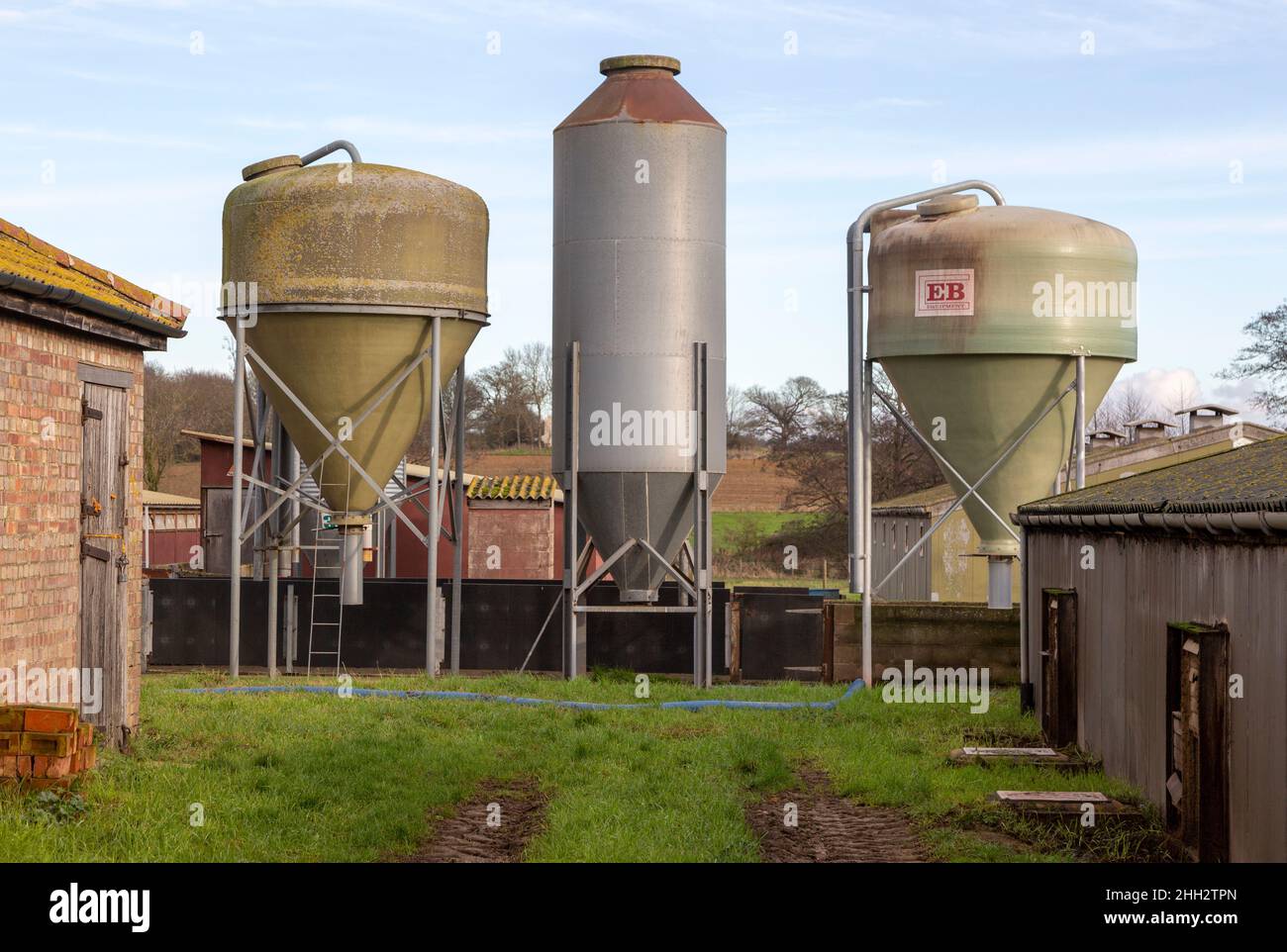 Food storage silos fodder feed containers on pig farm, Sutton, Suffolk ...