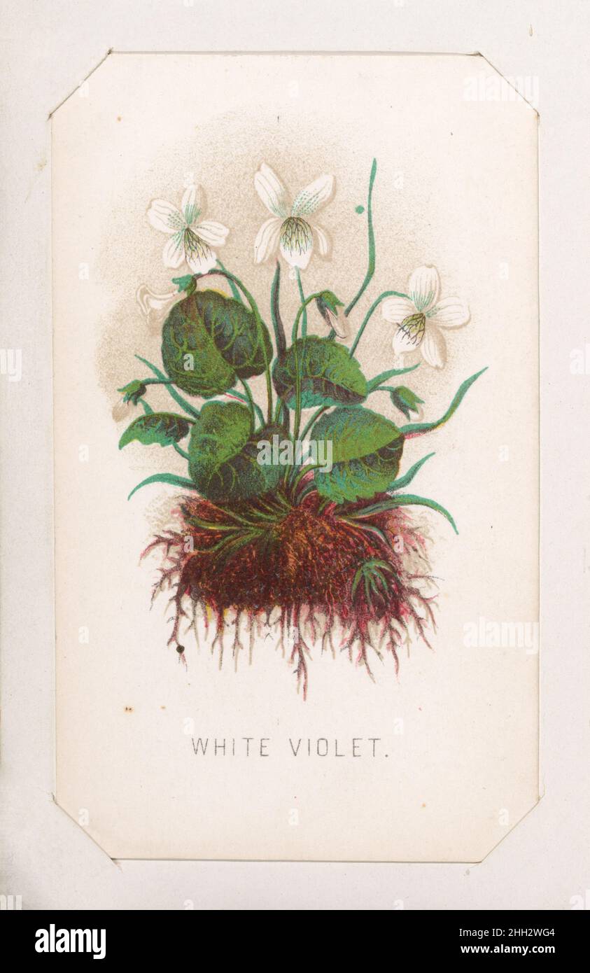 Louis prang card hi-res stock photography and images - Alamy