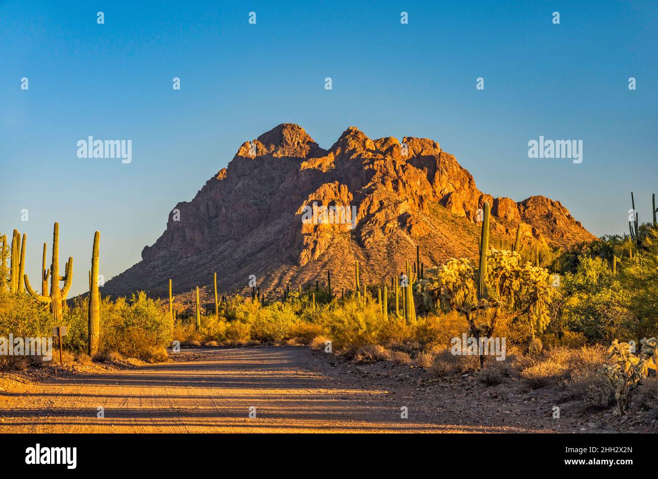 Silverbell road hi-res stock photography and images - Alamy
