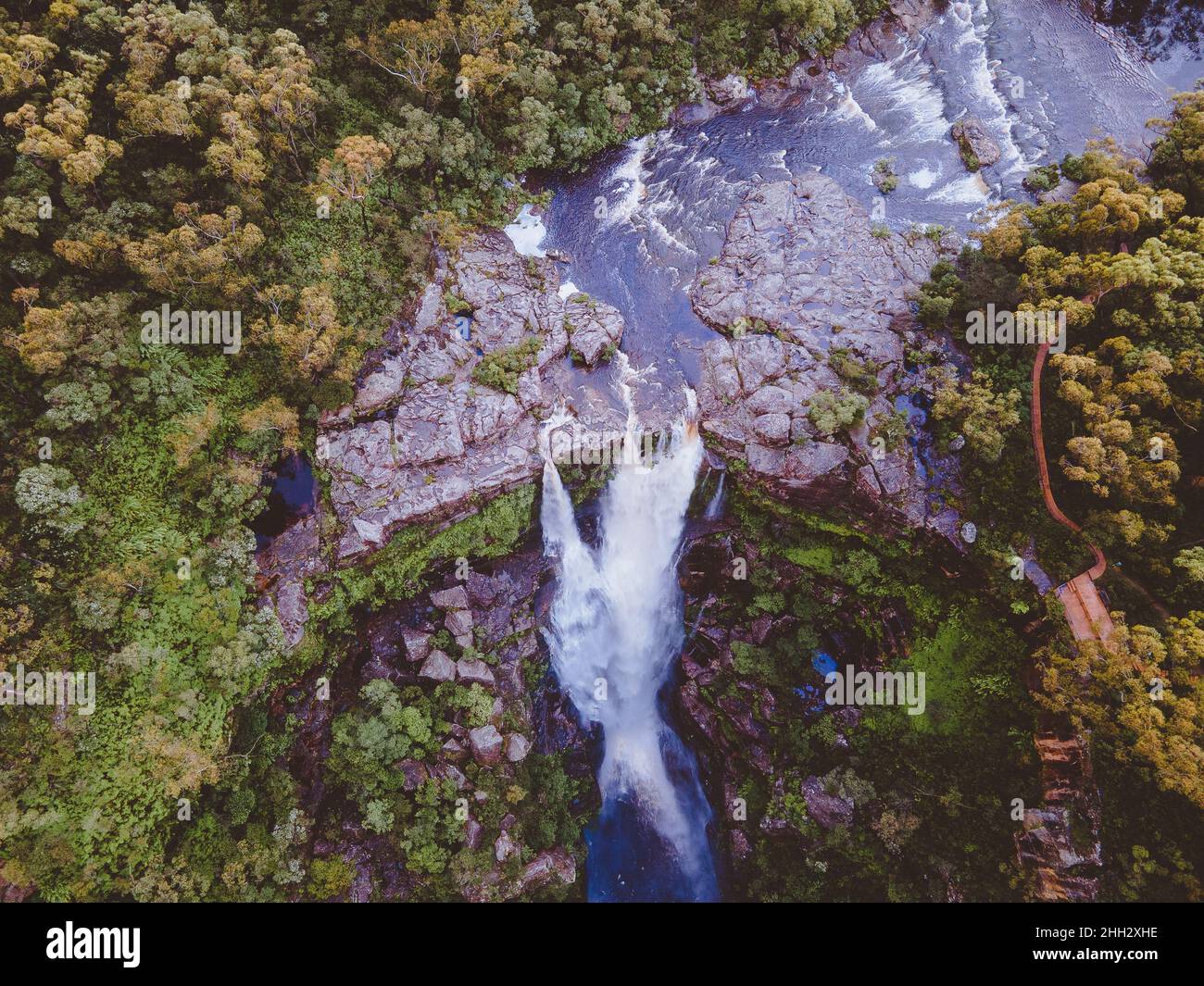 Australia south coast rain forest hi-res stock photography and images ...