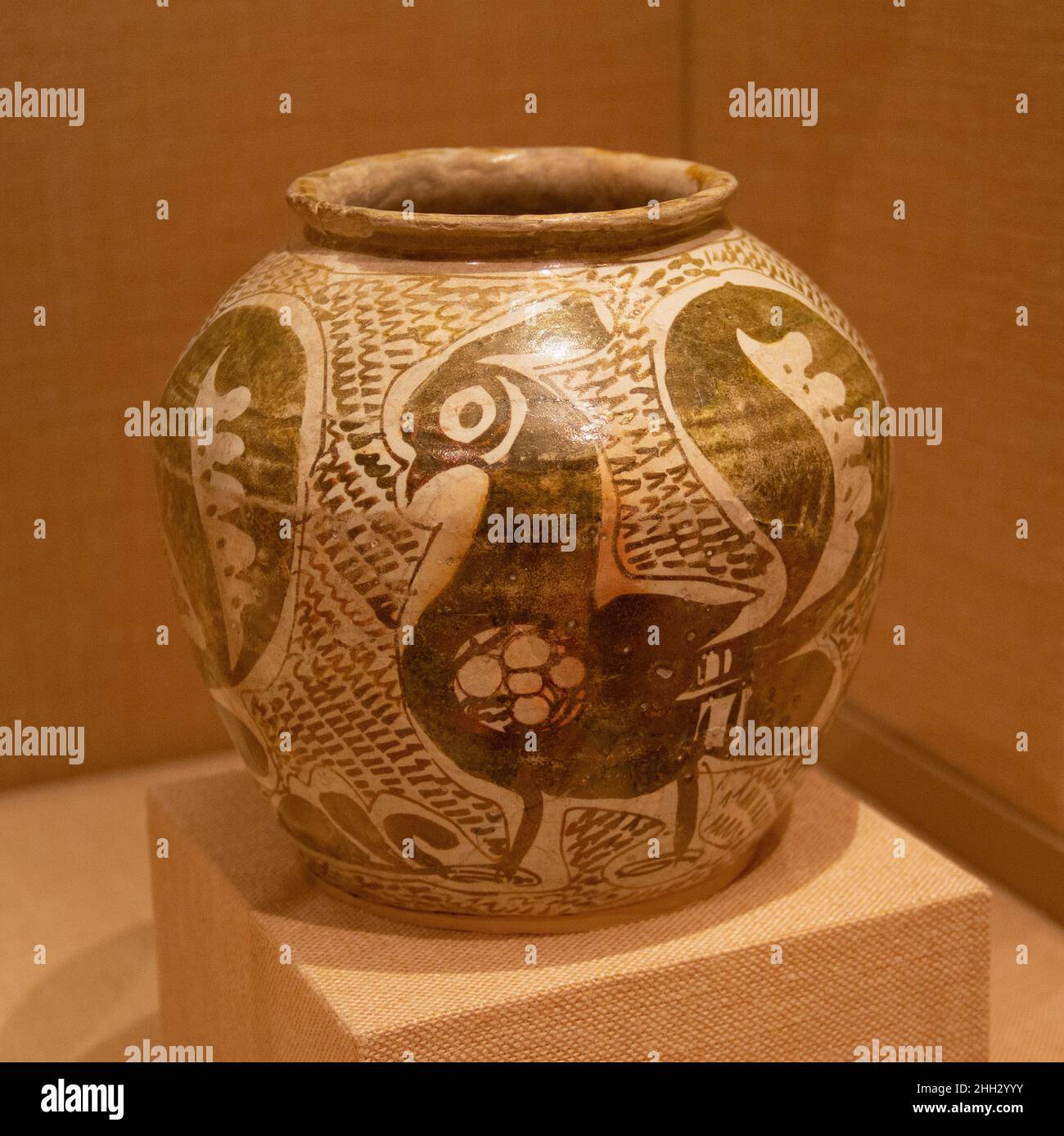 Jar Depicting Three Spirited Peacocks second half 10th century Birds ...