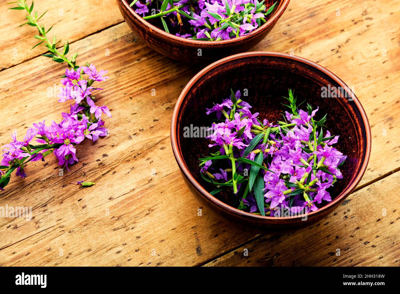 Ivan tea in a bowl.Blooming willow herb in herbal medicine.Medicative ...
