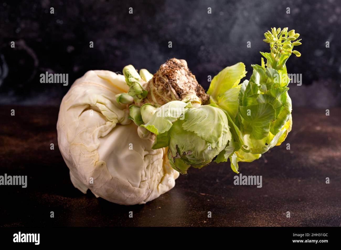Sprouting cabbage stump, stalk with flowers and young leaves Stock ...
