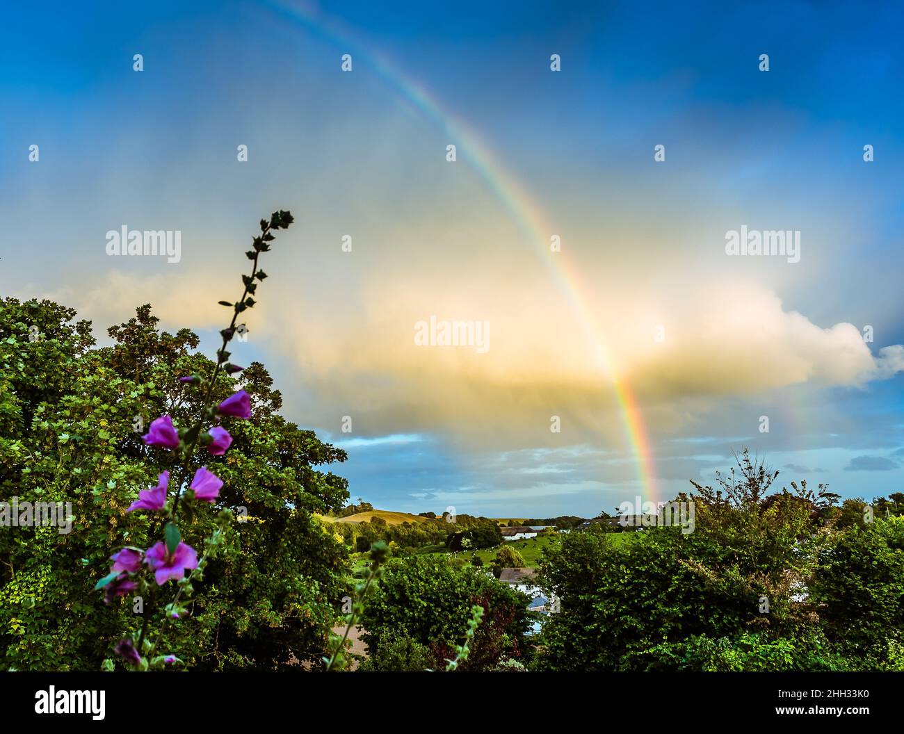 View from a Country Garden towards the Otter Valley Stock Photo - Alamy