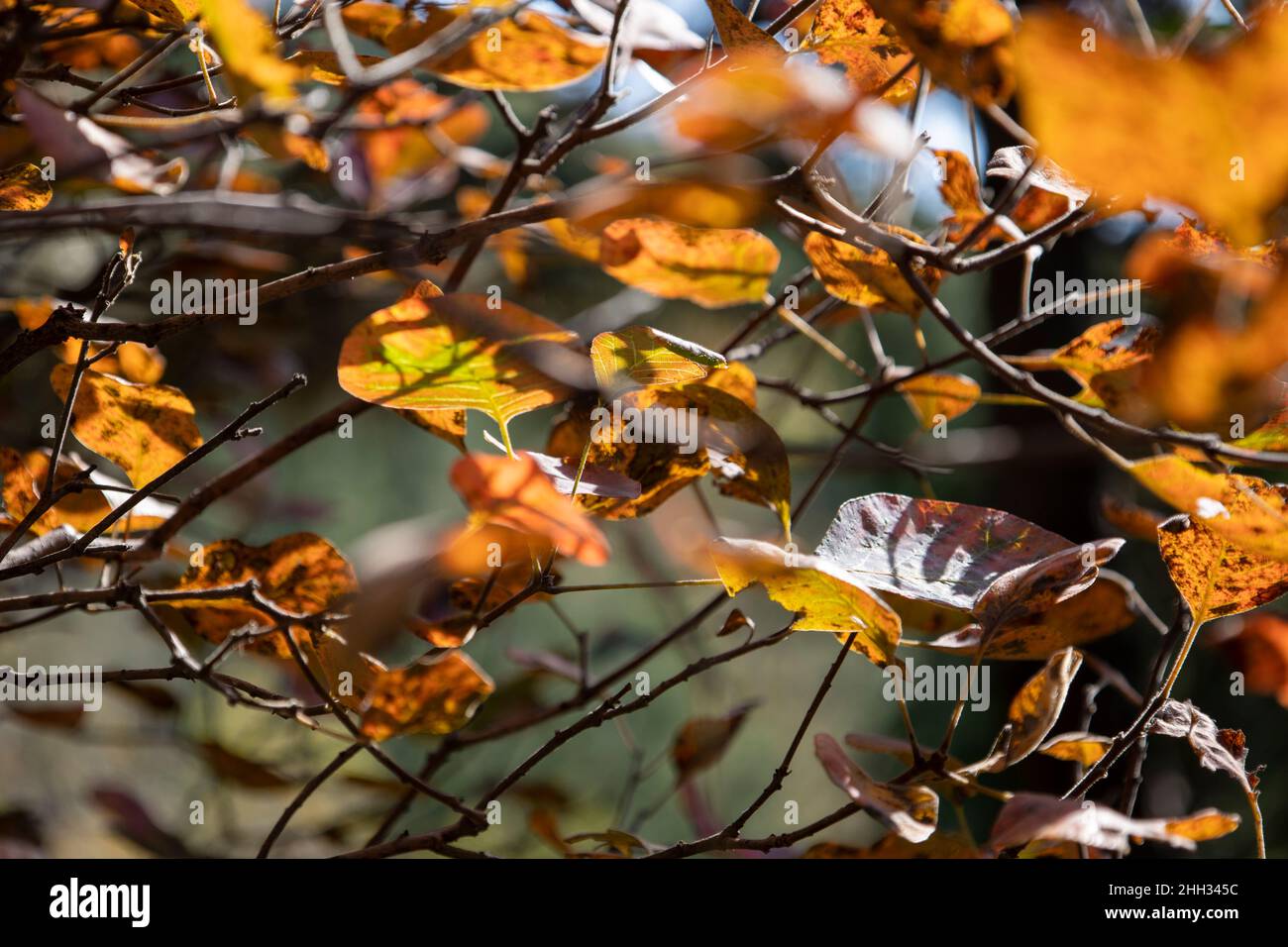 Beijing Ming Tombs National Forest Park is one of the best places to ...