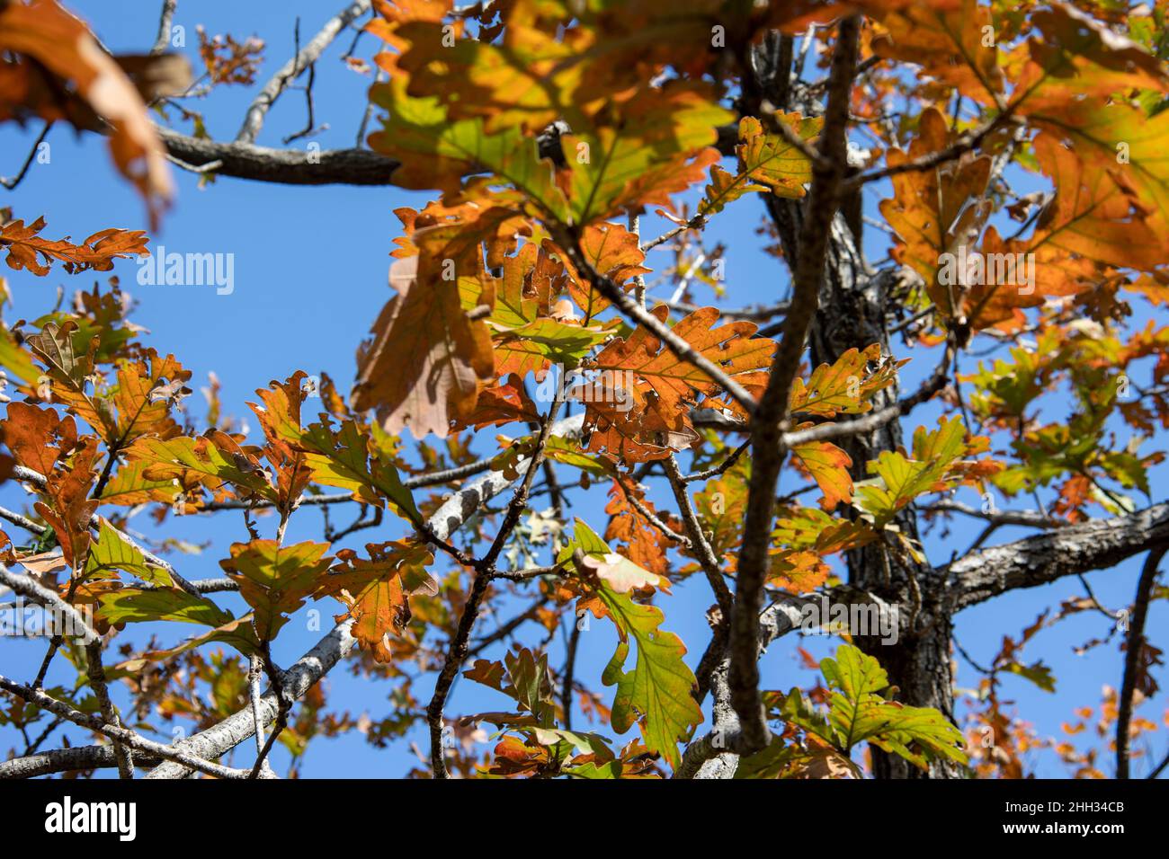 Beijing Ming Tombs National Forest Park is one of the best places to ...