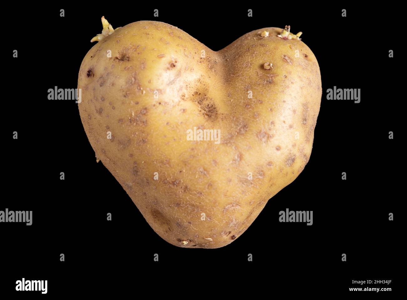 horizontal photograph of a heart shaped potato isolated on a black ...