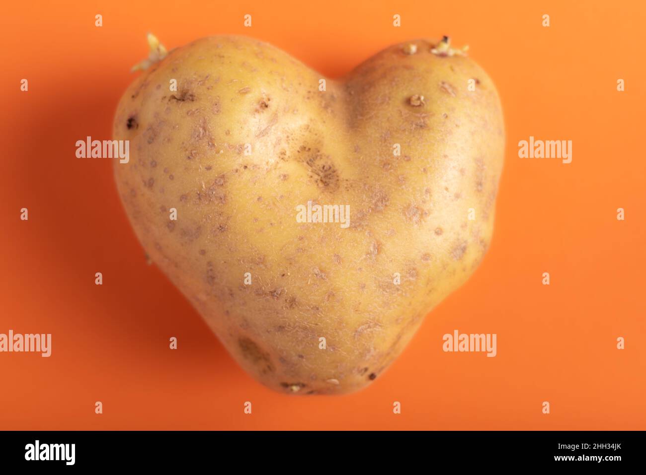 horizontal photograph of a heart shaped potato isolated on a orange ...
