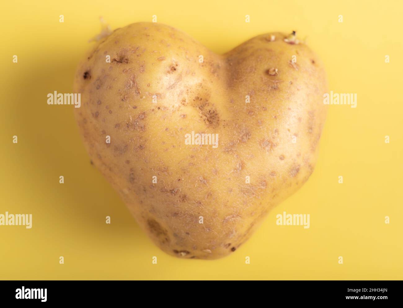 horizontal photograph of a heart shaped potato isolated on a yellow ...
