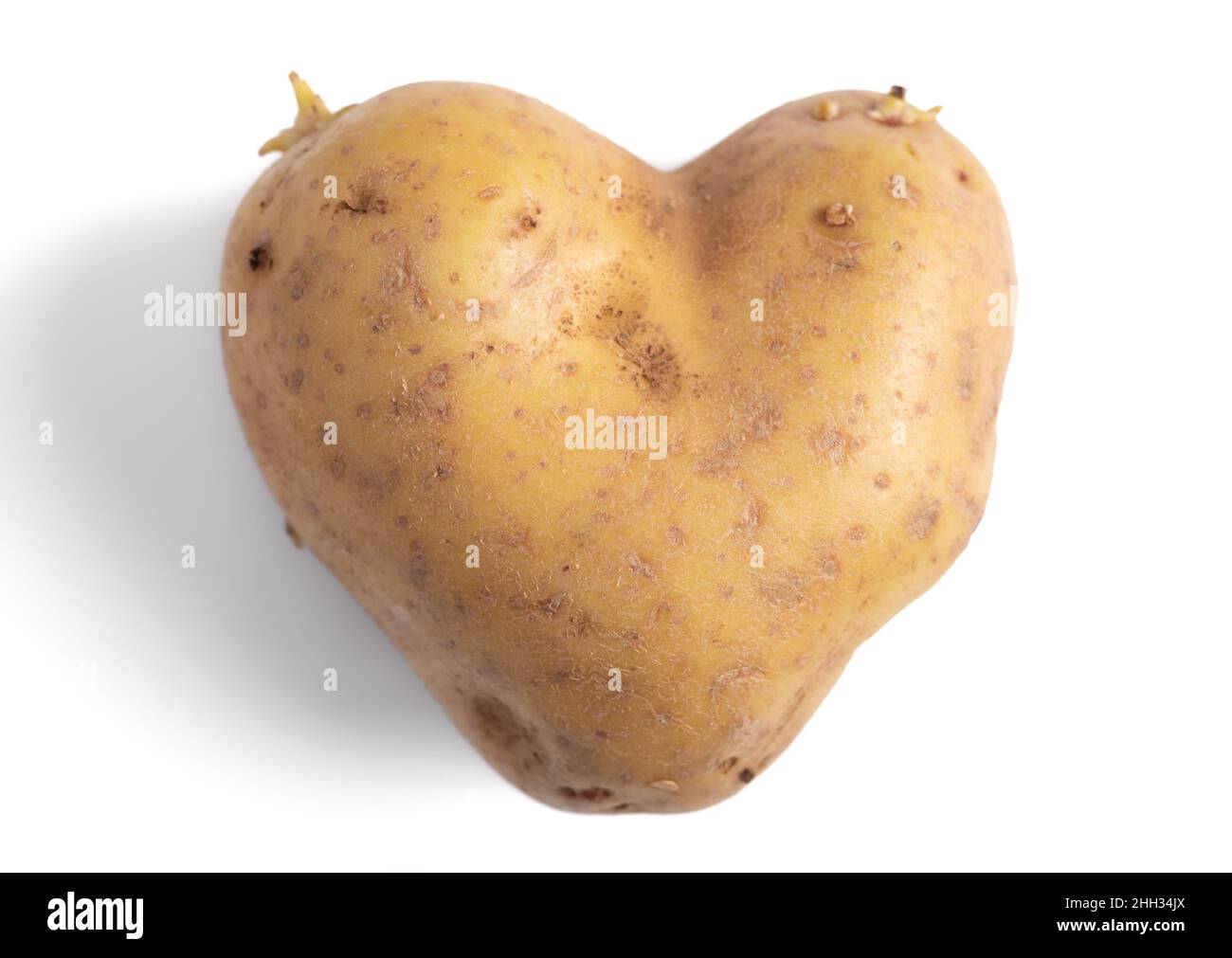 horizontal photograph of a heart shaped potato isolated on a white ...