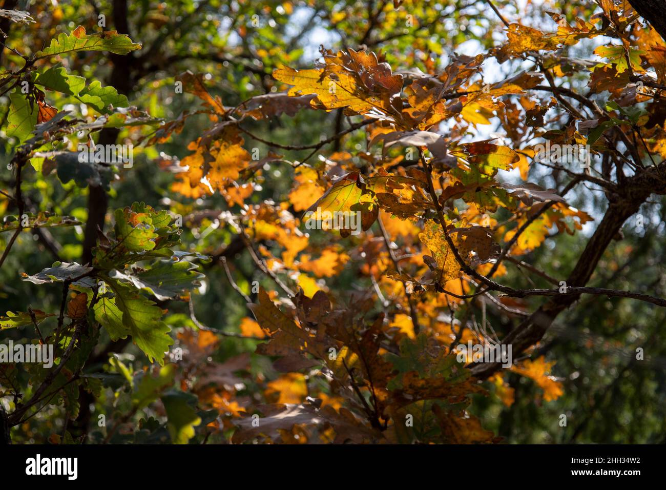 Beijing Ming Tombs National Forest Park is one of the best places to ...
