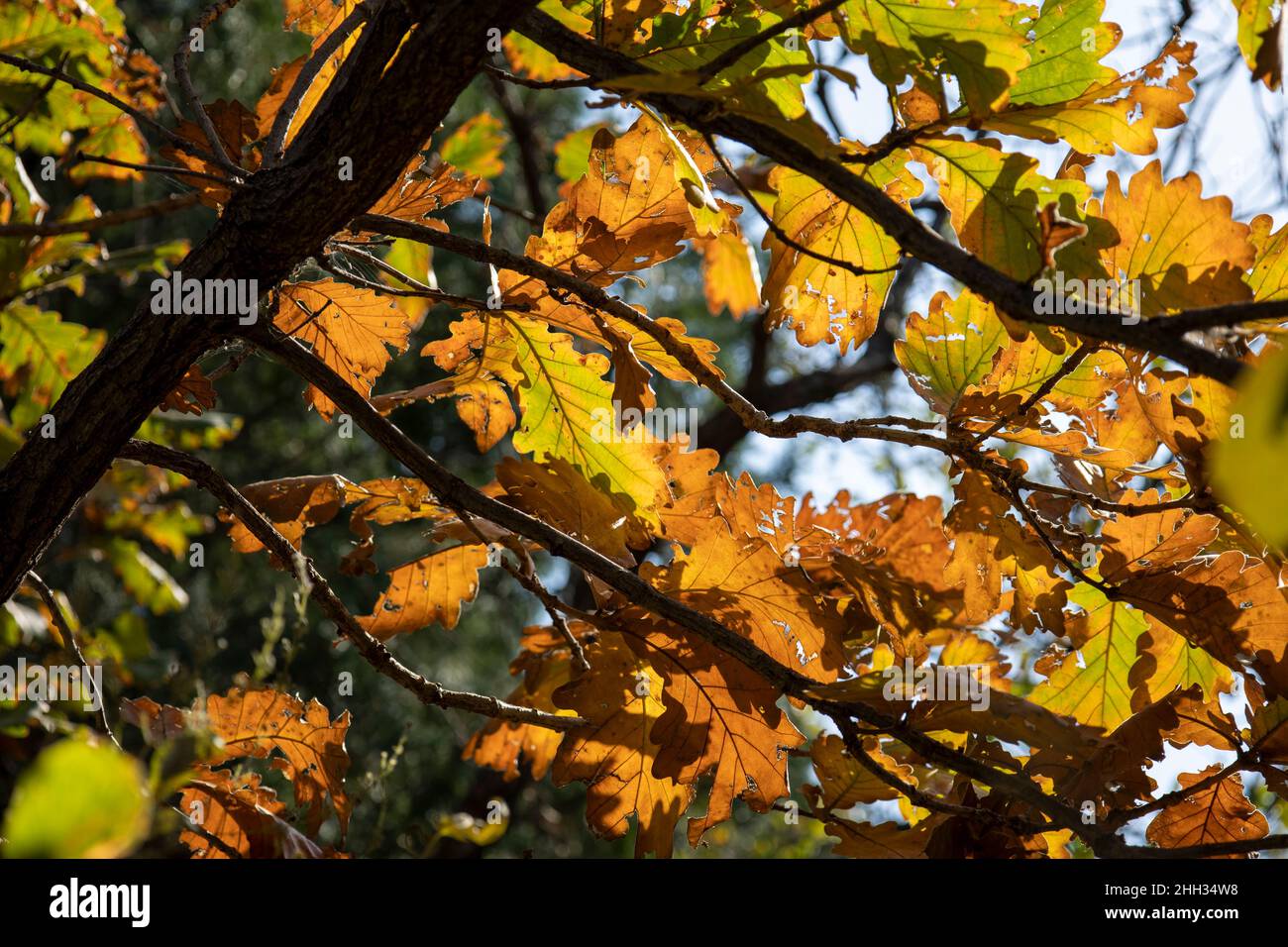 Beijing Ming Tombs National Forest Park is one of the best places to ...