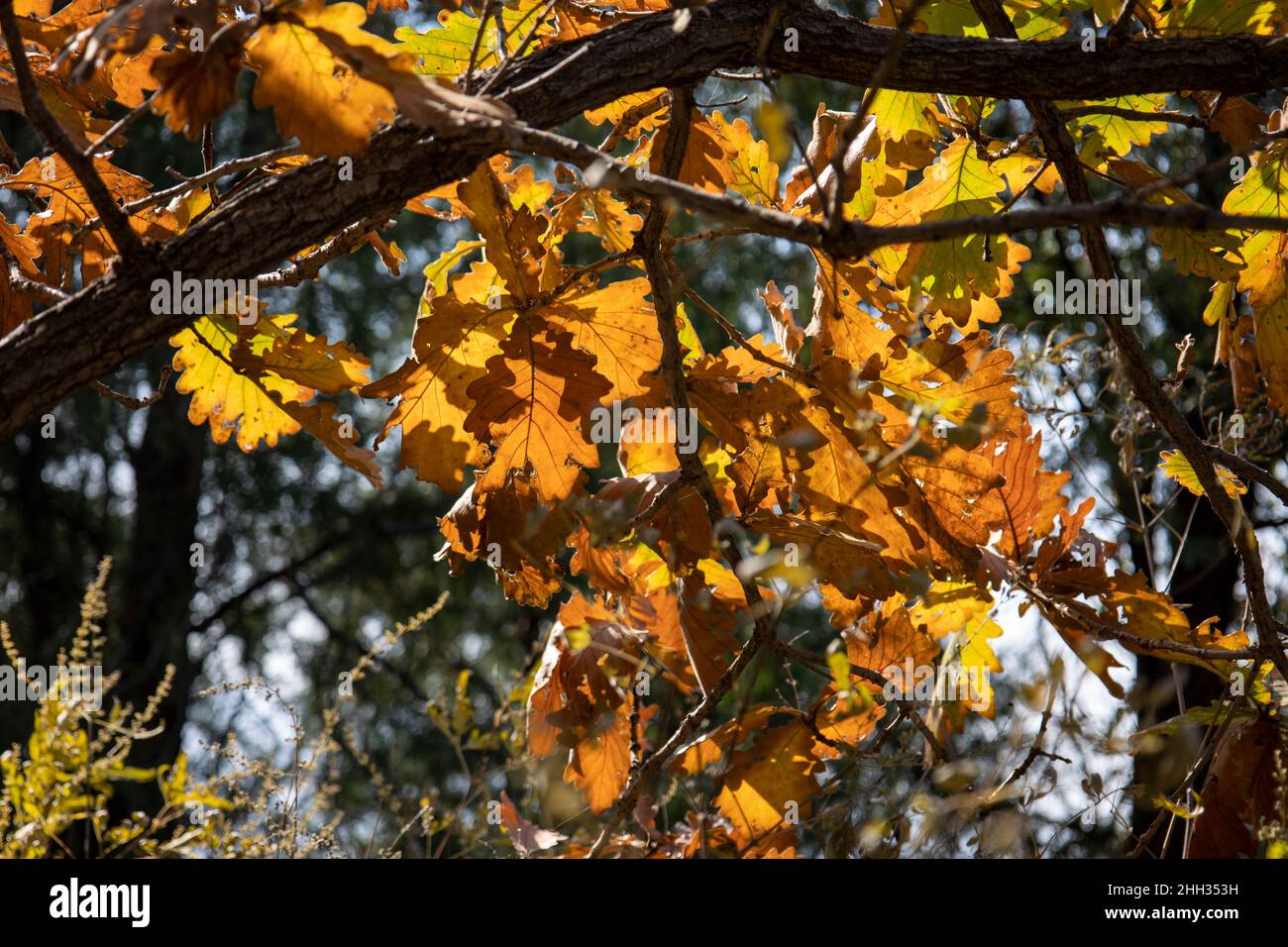 Beijing Ming Tombs National Forest Park is one of the best places to ...