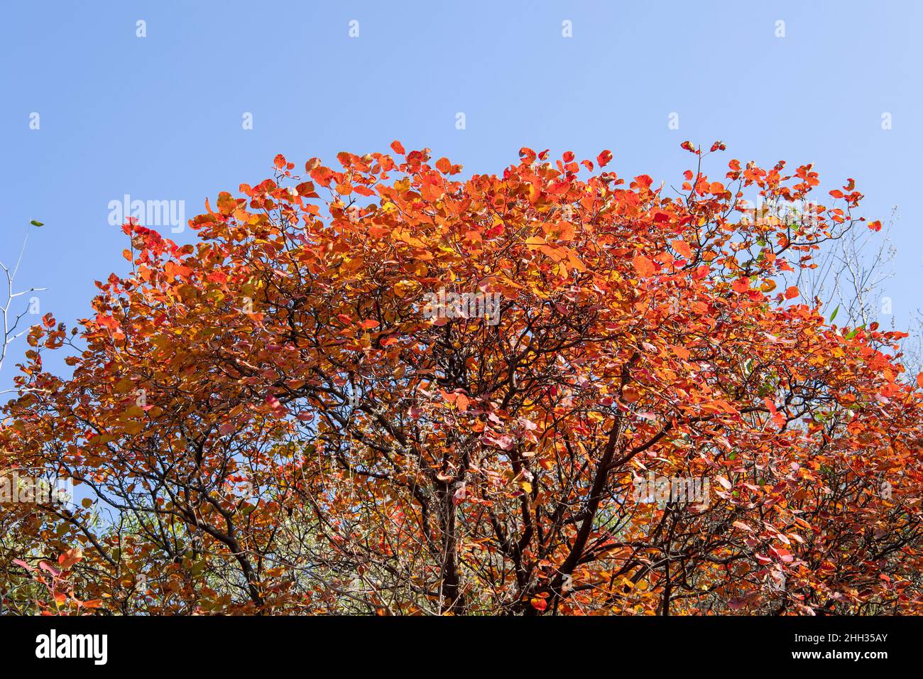 Beijing Ming Tombs National Forest Park is one of the best places to ...