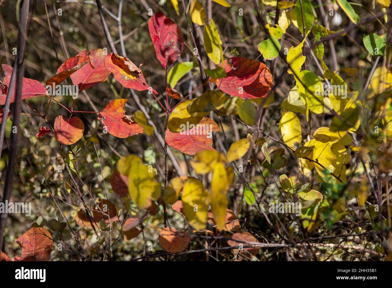 Beijing Ming Tombs National Forest Park is one of the best places to ...