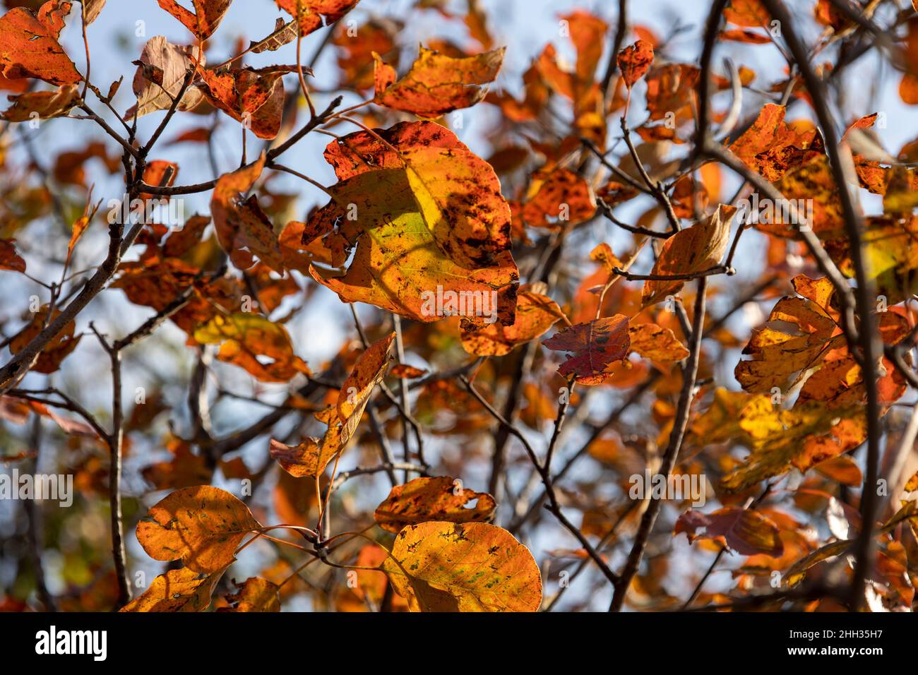 Beijing Ming Tombs National Forest Park is one of the best places to ...