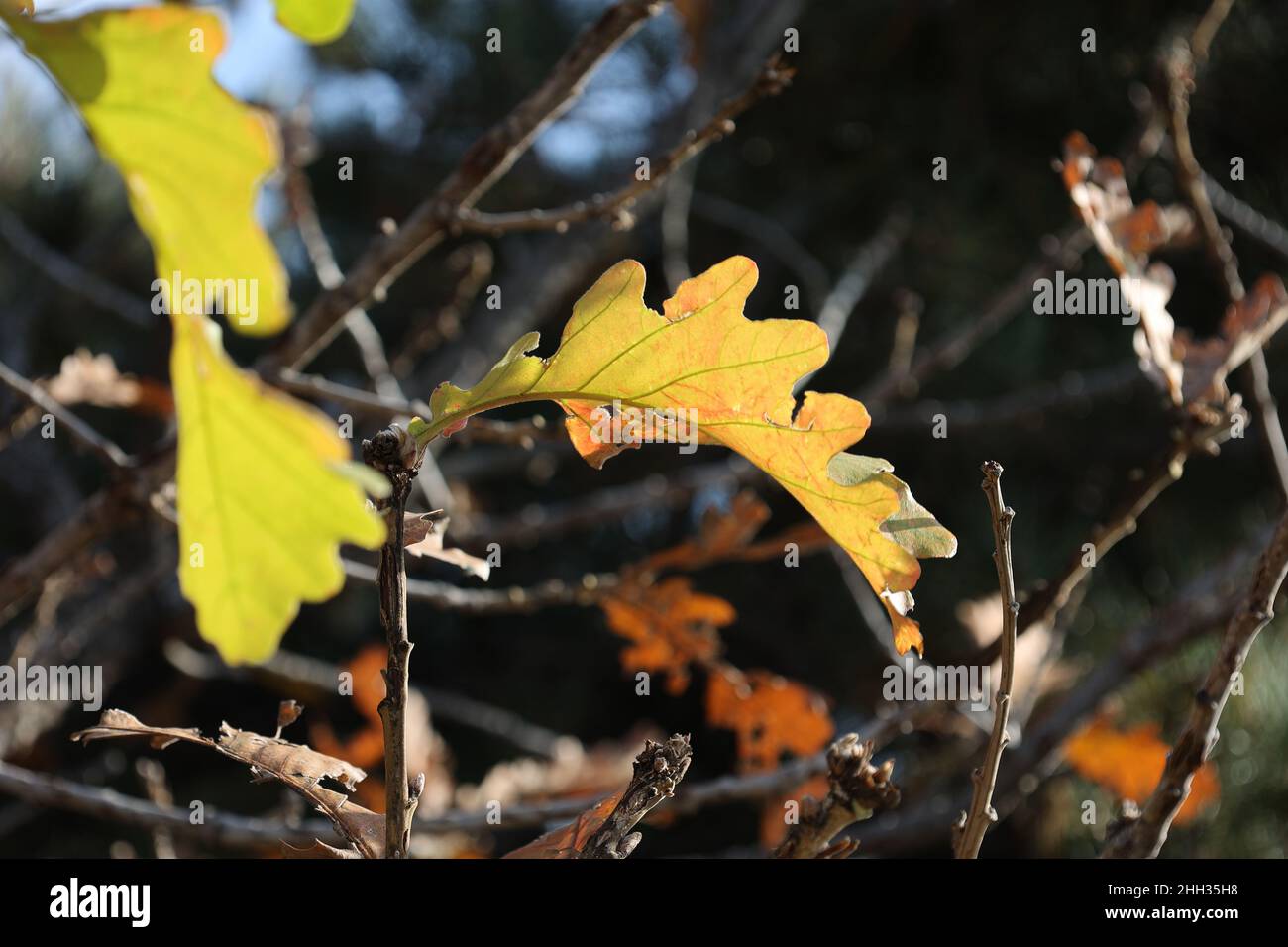 Beijing Ming Tombs National Forest Park is one of the best places to ...