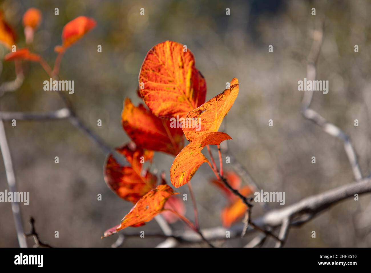 Beijing Ming Tombs National Forest Park is one of the best places to ...