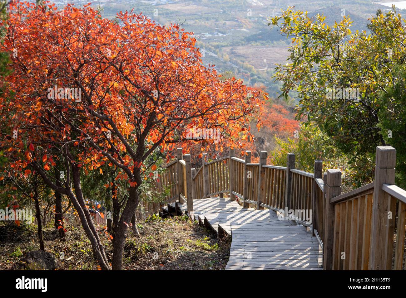 Beijing Ming Tombs National Forest Park is one of the best places to ...