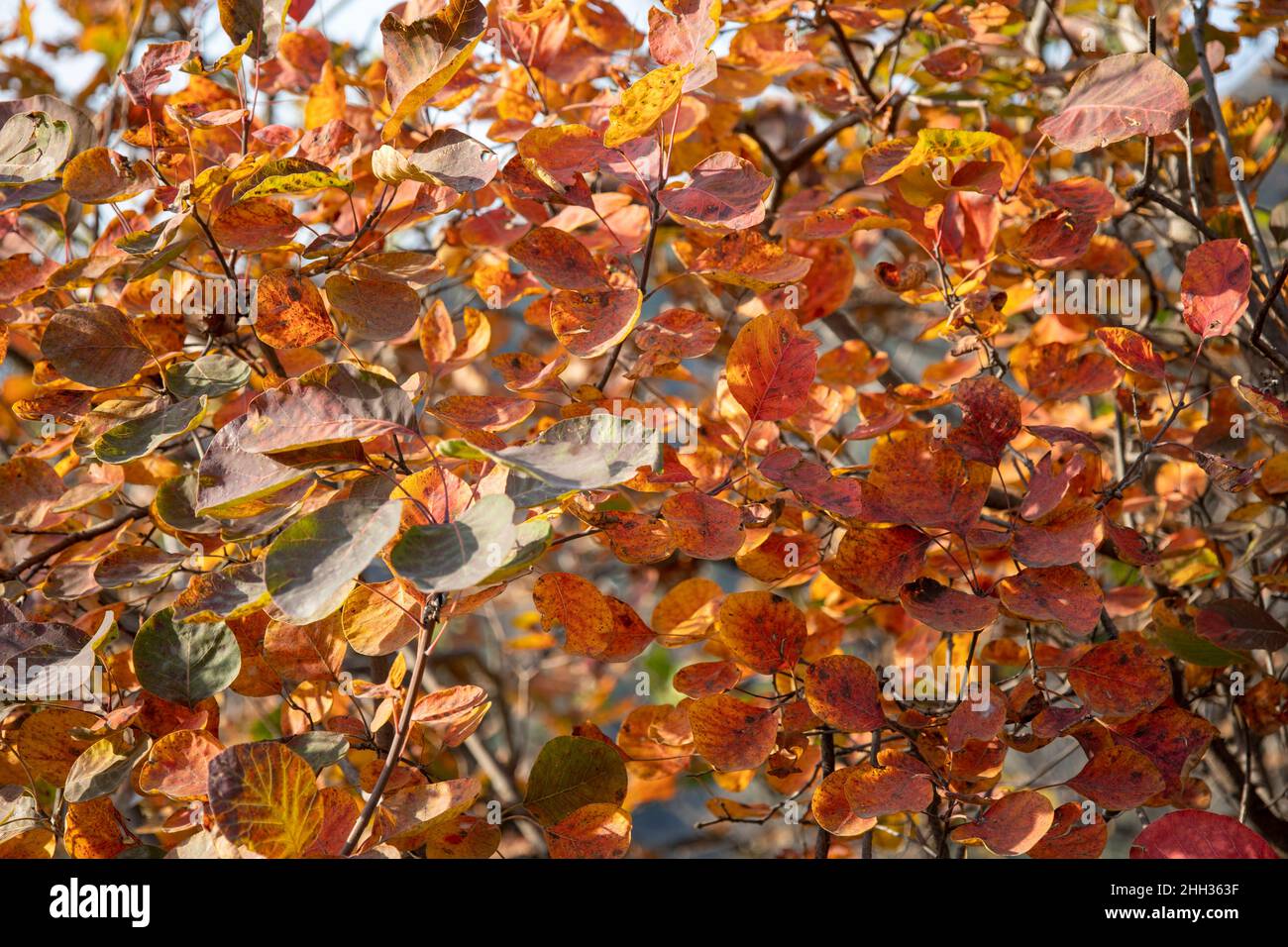 Beijing Ming Tombs National Forest Park is one of the best places to ...
