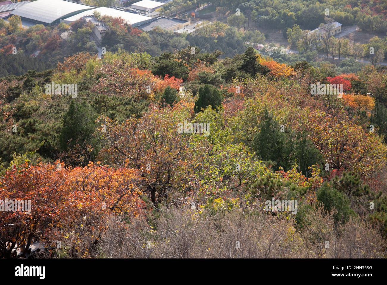 Beijing Ming Tombs National Forest Park is one of the best places to ...