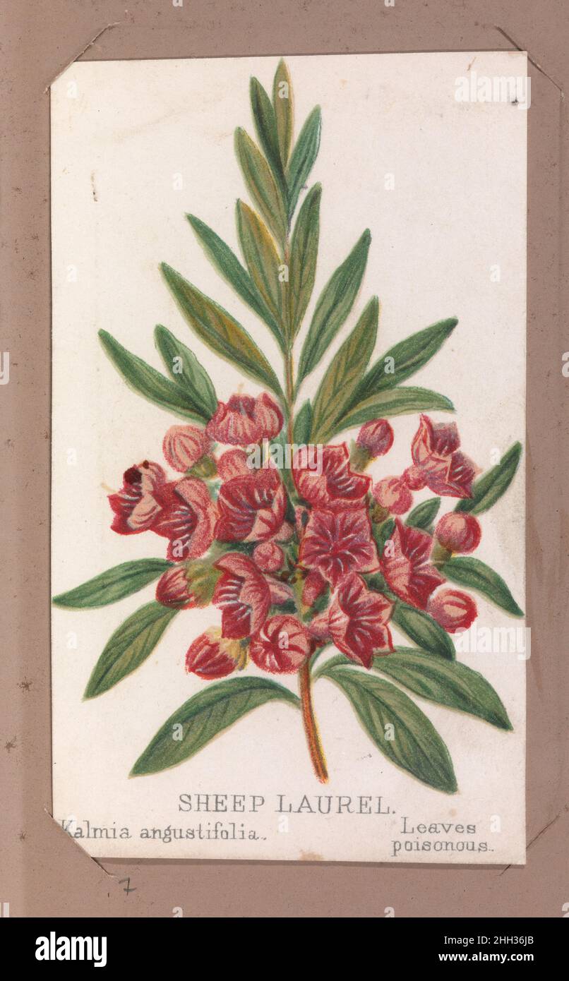 Louis prang lithograph hi-res stock photography and images - Alamy