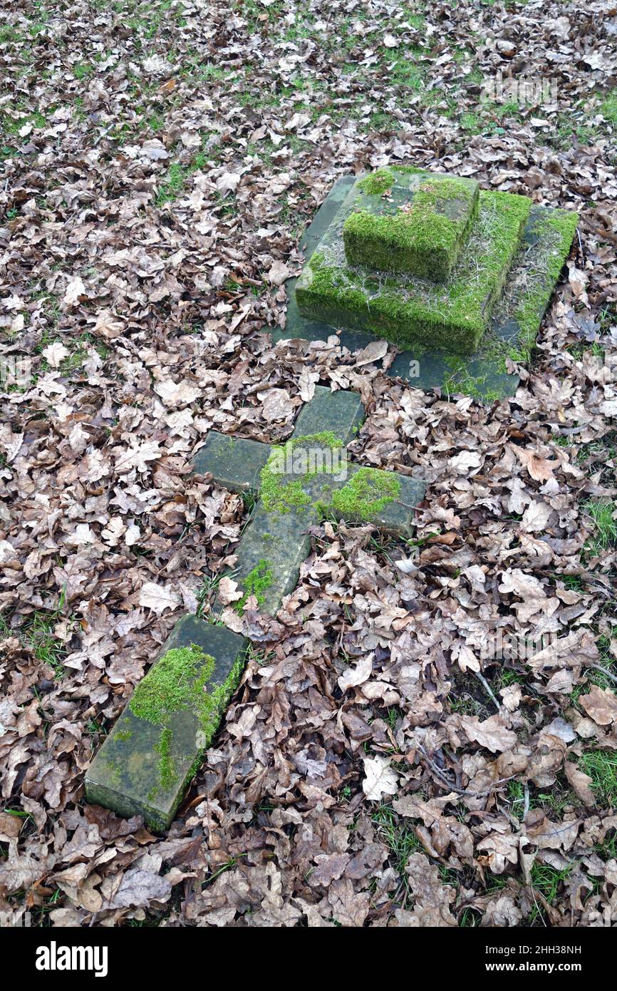 A Old Graveyard with Broken and Fallen Crosses and Graves in Overgrown ...