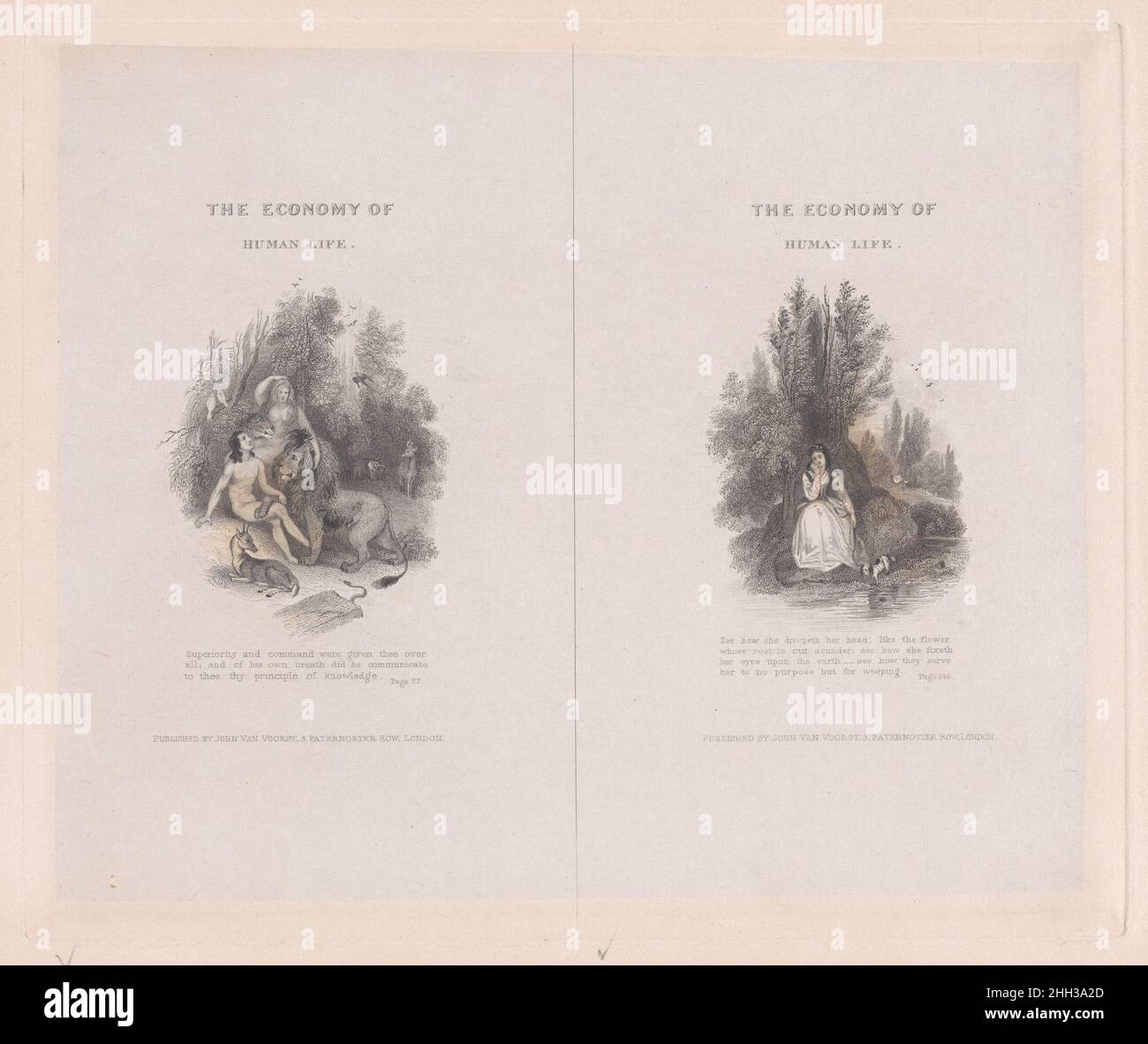 Vignette illustration hi-res stock photography and images - Alamy