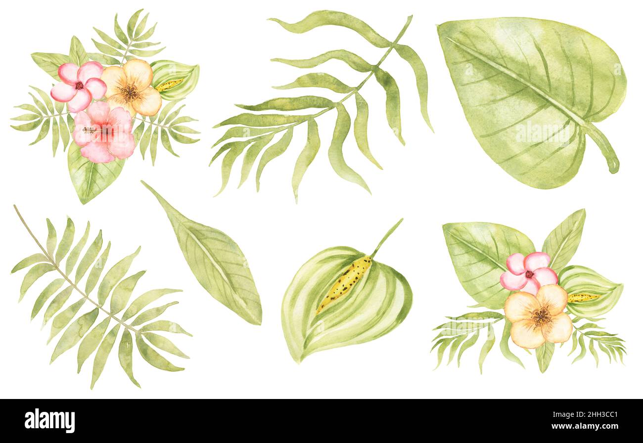 Tropical border png Greenery wreath png Watercolor tropical frames ...