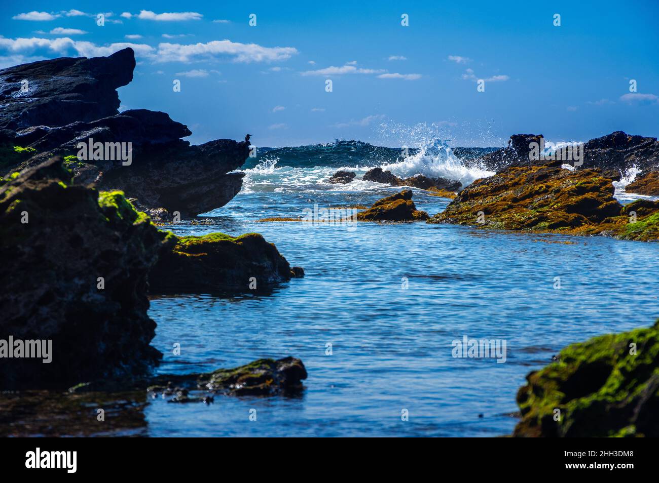 The entire coastline on this side of the island is mostly submerged at ...