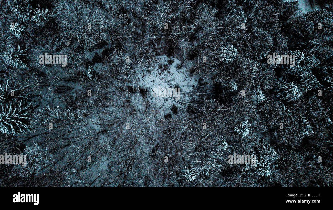 Aerial view forest Stock Photo - Alamy