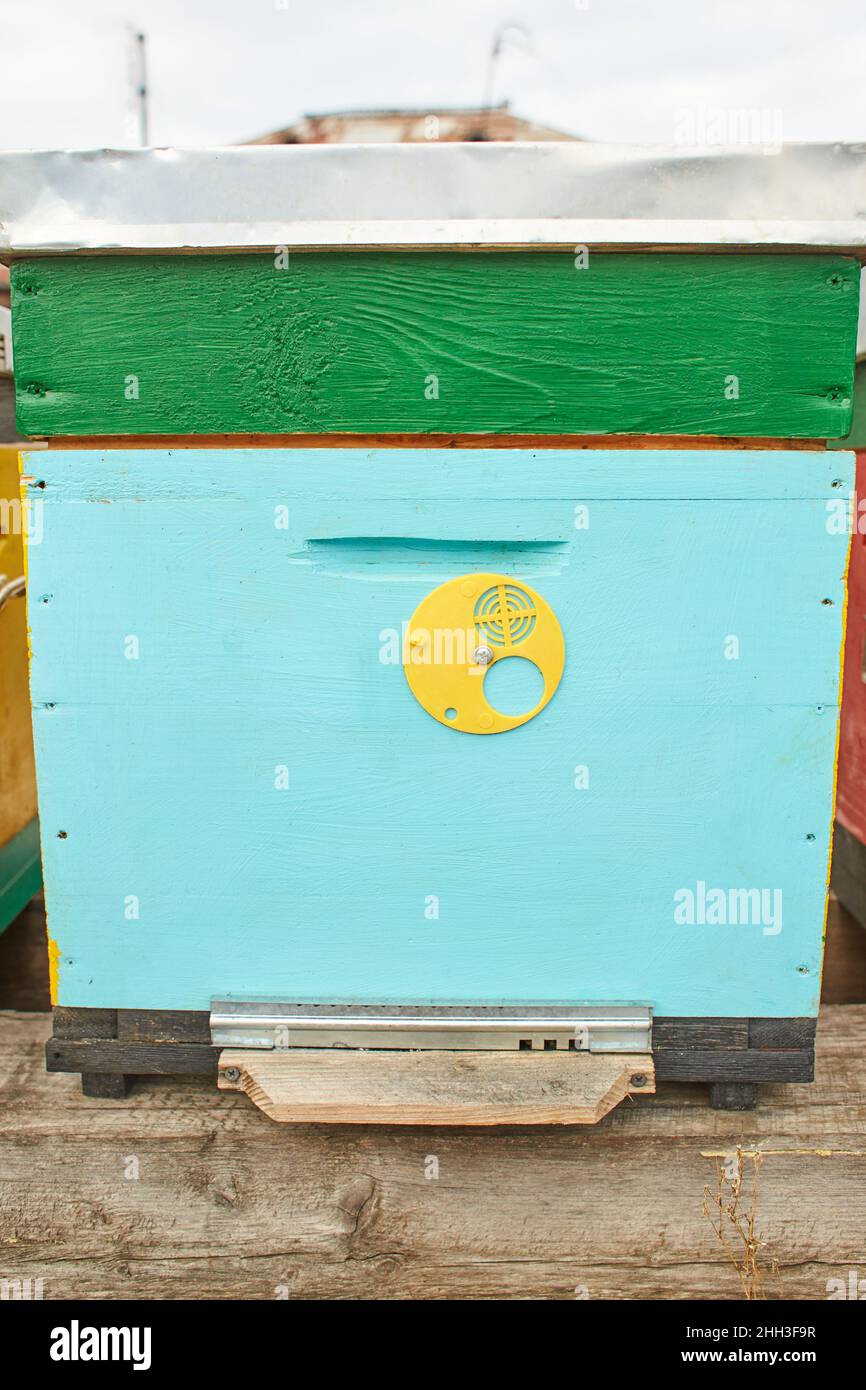 colored wooden bee hives in winter Stock Photo - Alamy