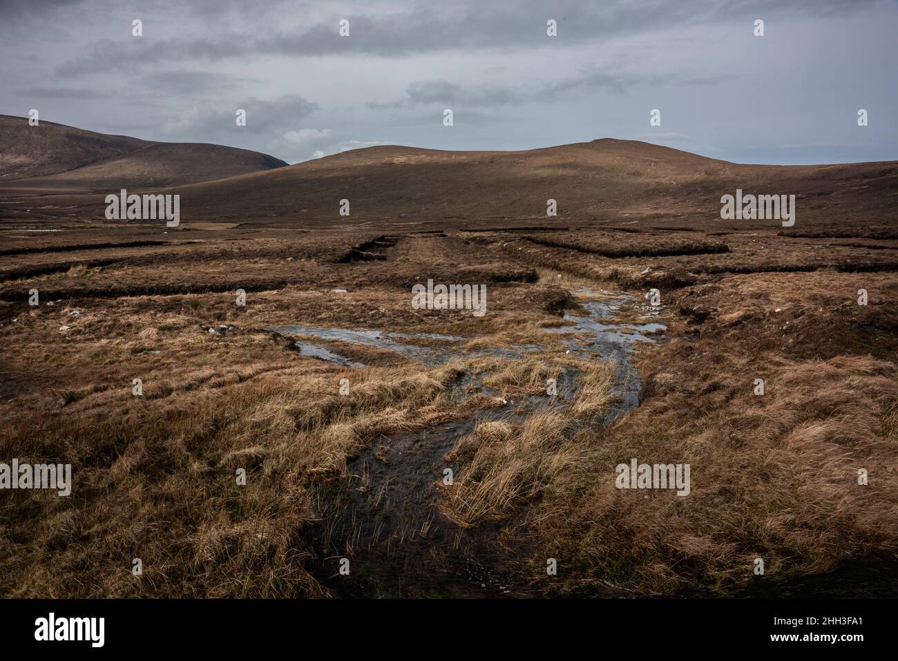 Bogland at the edge of Wild Nephin National Park in Ireland. It is ...