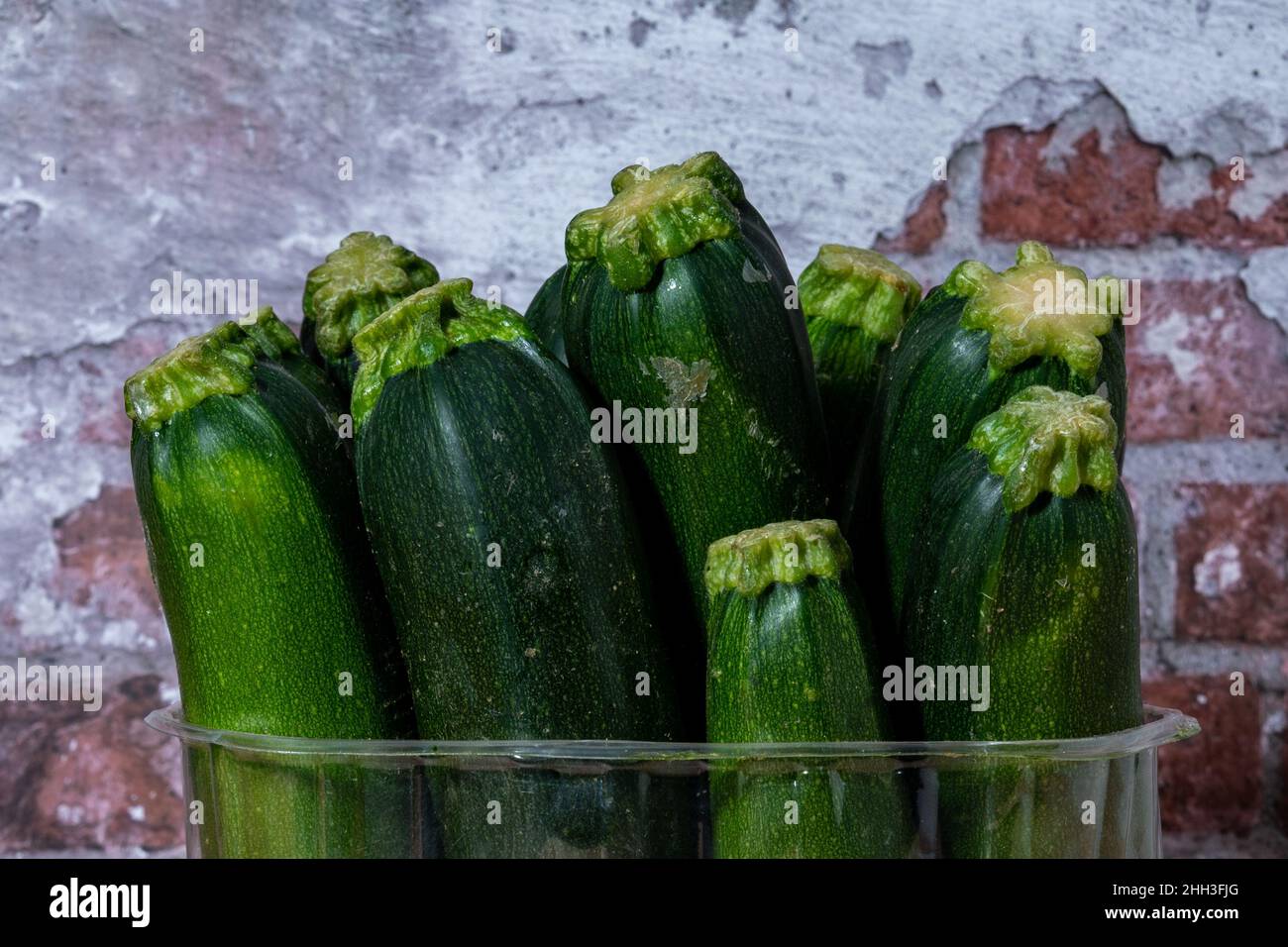 A dark green zucchini stands upright in a transparent box close-up ...