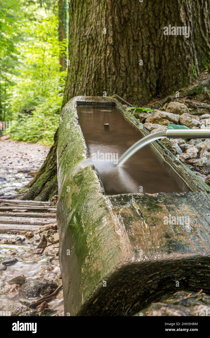 Jet of fresh spring water coming out of a metal spout from a stone ...