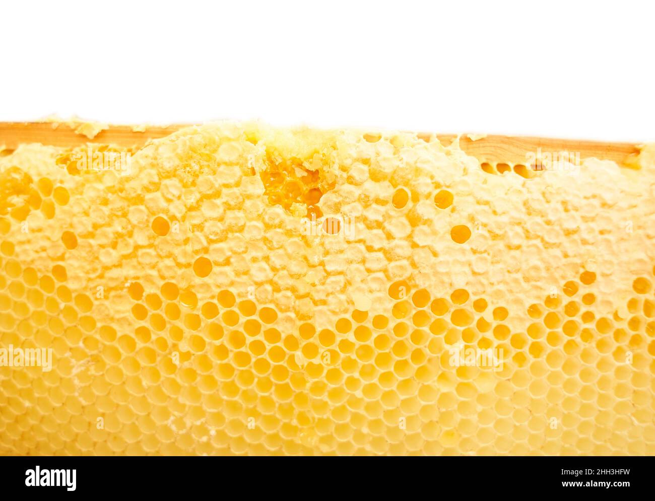 Hive. Beekeeping concept. Background texture of a section of wax ...