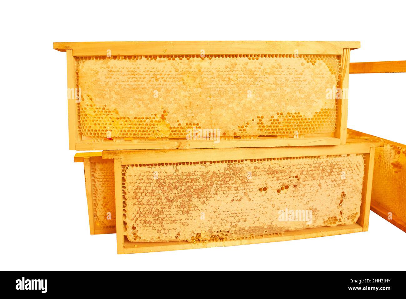 Section from hive frame Cut Out Stock Images & Pictures - Alamy