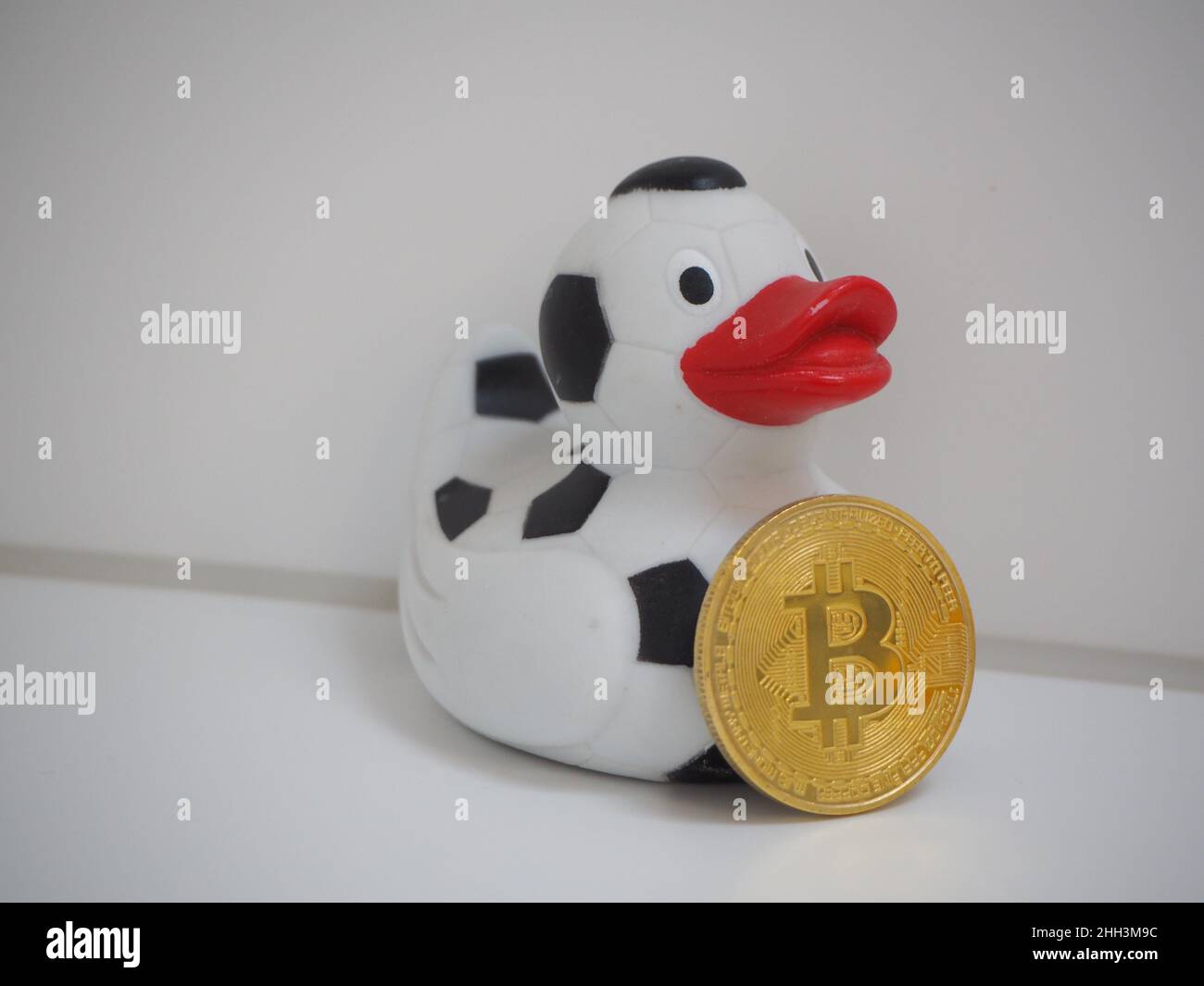 Gold duck hi-res stock photography and images - Alamy