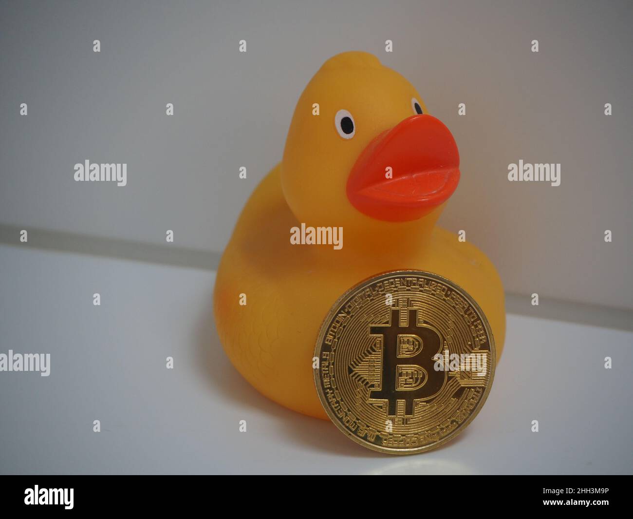 Crypto funny hi-res stock photography and images - Alamy