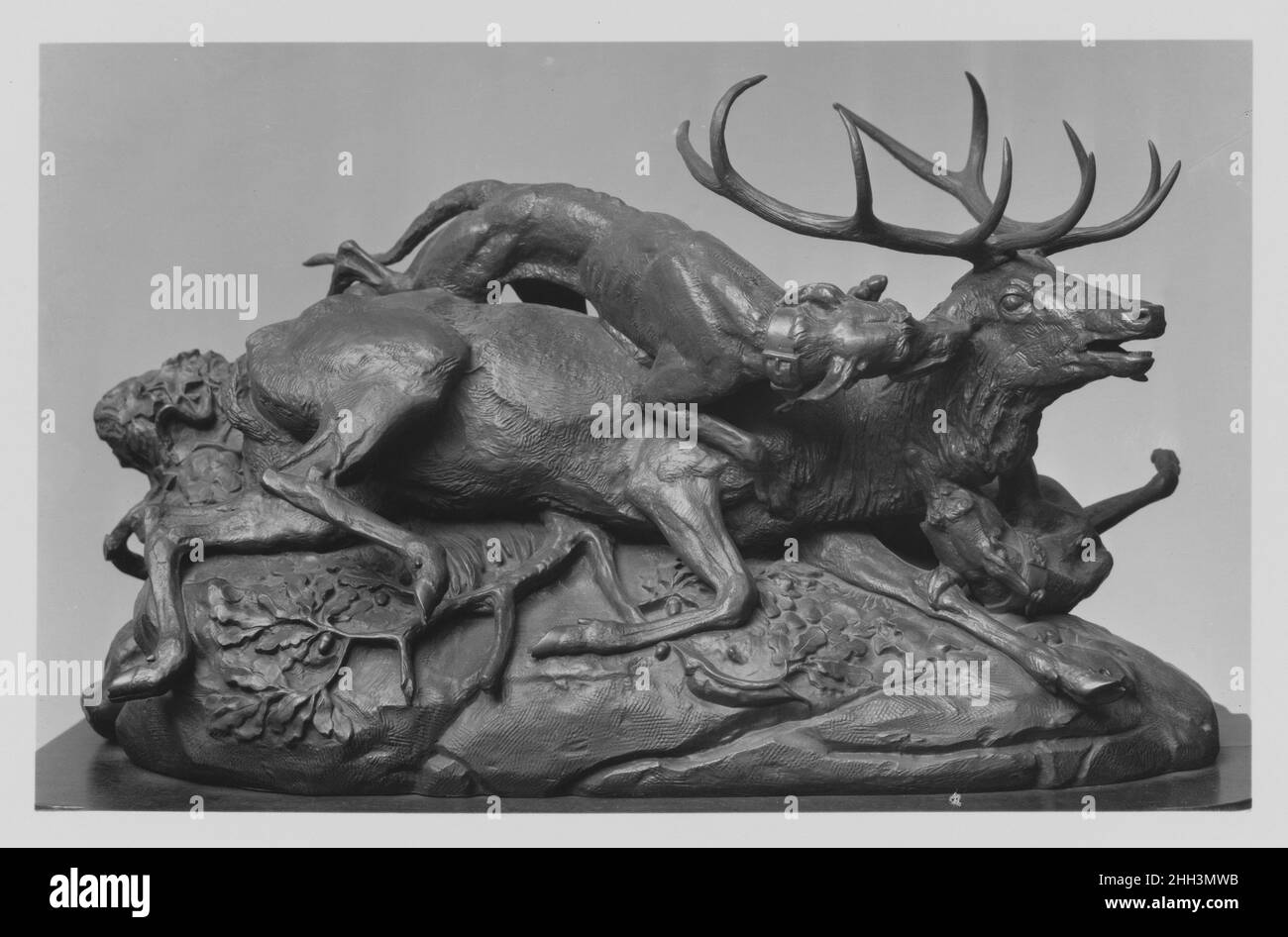 Stag models Black and White Stock Photos & Images - Alamy